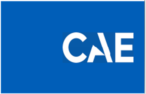 CAE - 青岛盘古机器人有限公司官网